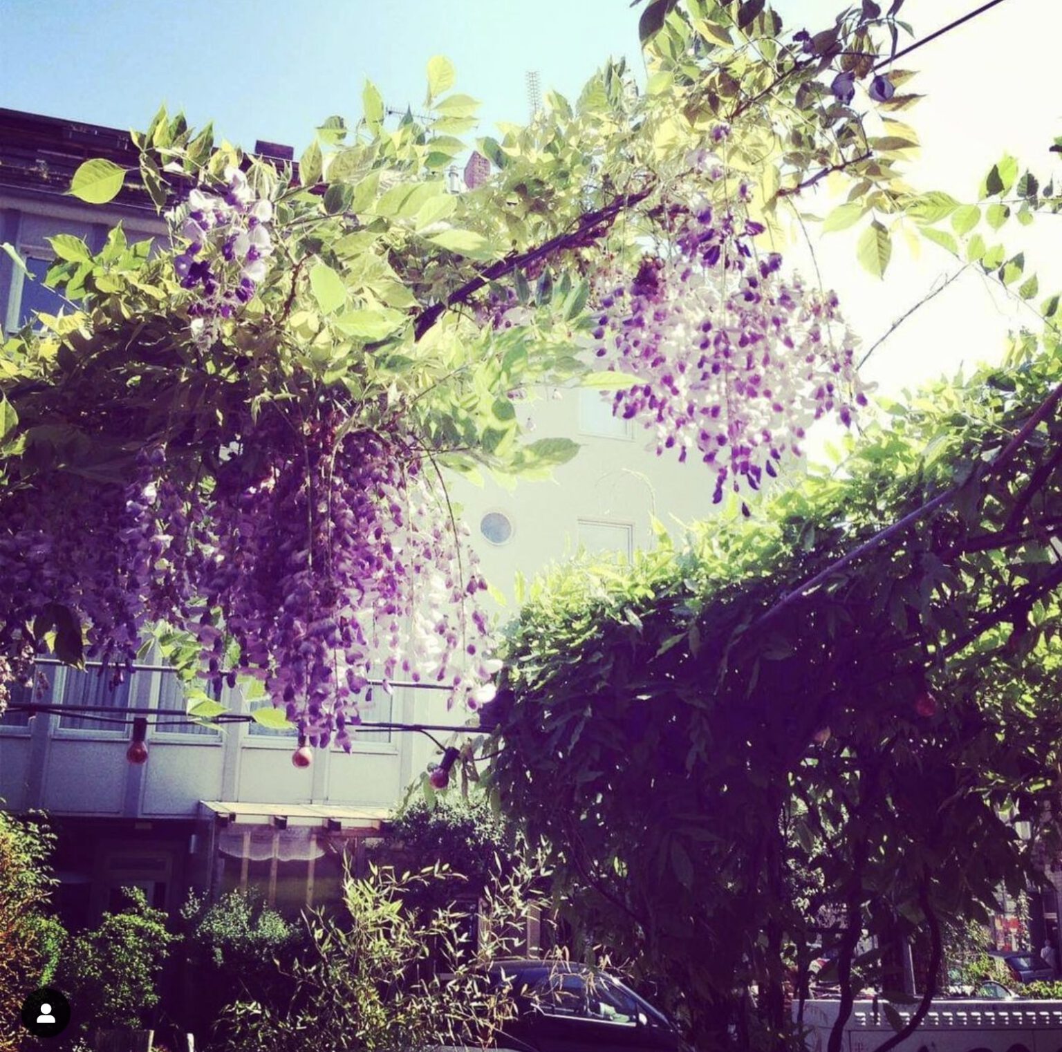 Karte - Palanta